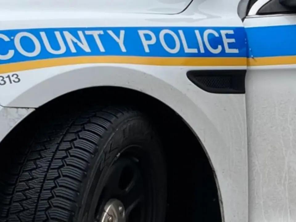 Woman, Officers Involved In Deadly Baltimore County Pursuit ID'd: AG's ...