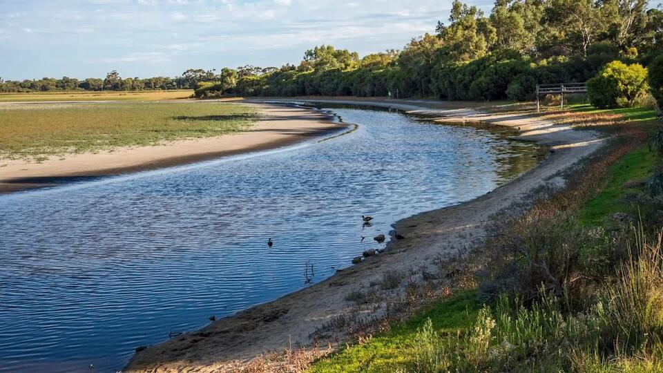 Crocodile with 1-in-10,000 genetic mutation spotted in Australia ...