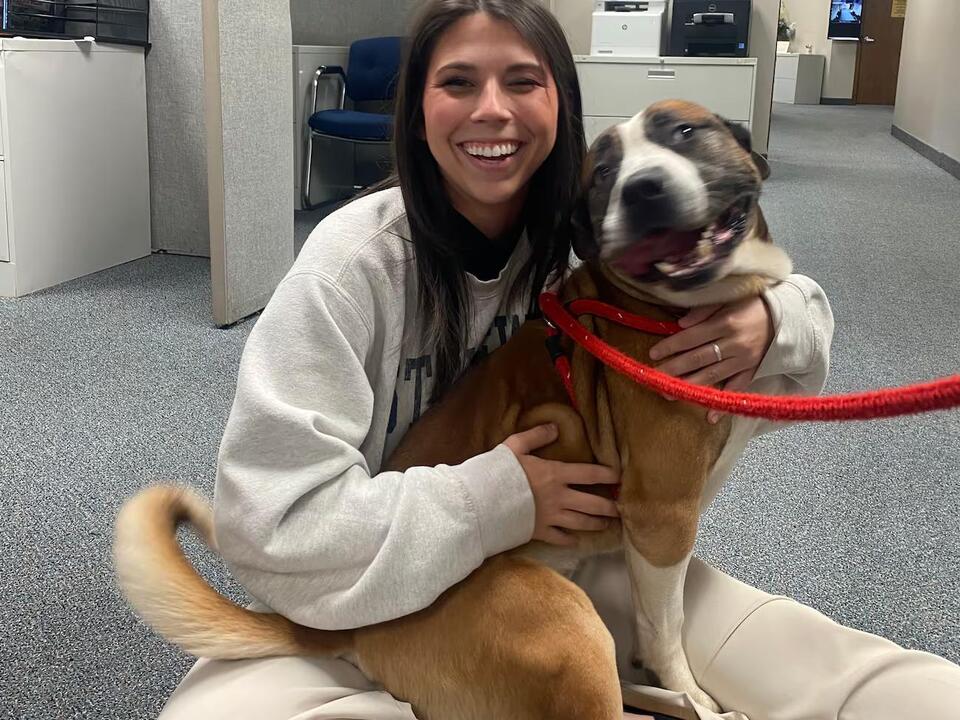 Meet Debo, our Pet of the Week!