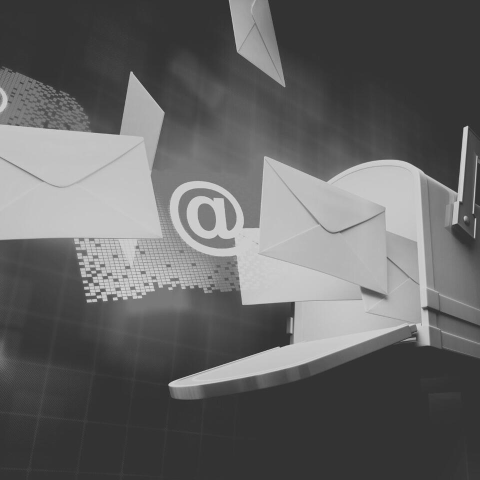 Wetlands in Peril, Sidewalks for Show, Flooding Unchecked Part 3 ...