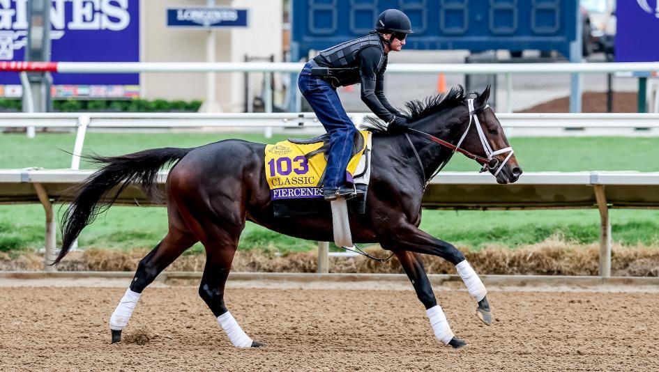 2024 Breeders’ Cup Classic at a Glance - NewsBreak