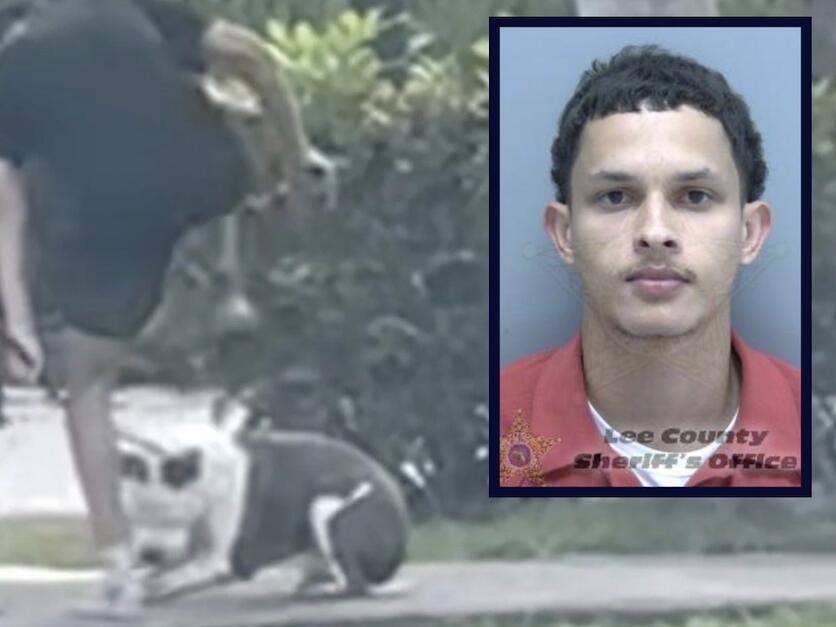 'Pile of trash' caught on video stomping on pit bull's neck in broad ...