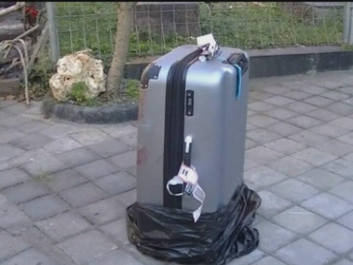 ‘Suitcase killer’ Heather Mack pleads for leniency in US over mother’s ...