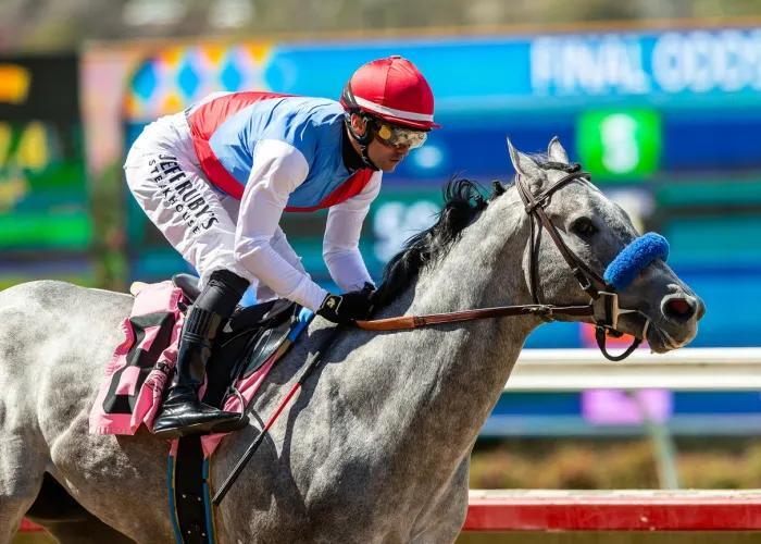 Bloodlines Presented By Walmac Farm: Del Mar Futurity Winner Brant ...