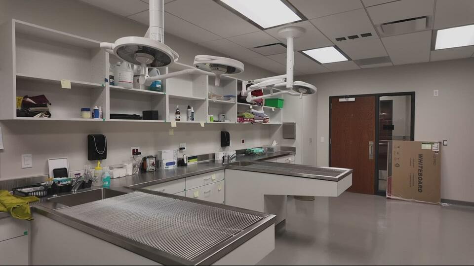 Portland's DoveLewis expands with new state-of-the-art pet medical ...