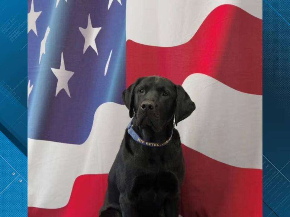 Attorney General Kaul Announces New Accelerant Detection Canine at the ...