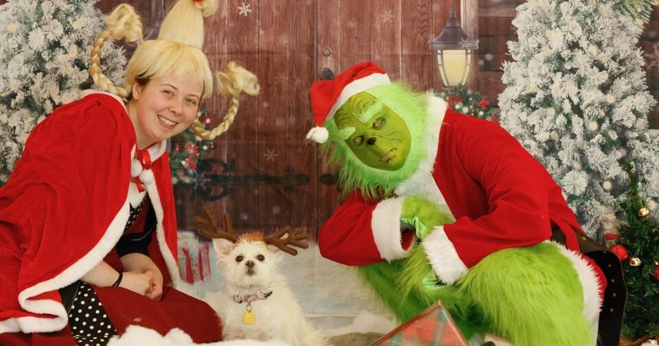 Capture the magic of the season, pet photos with the Grinch at the ...