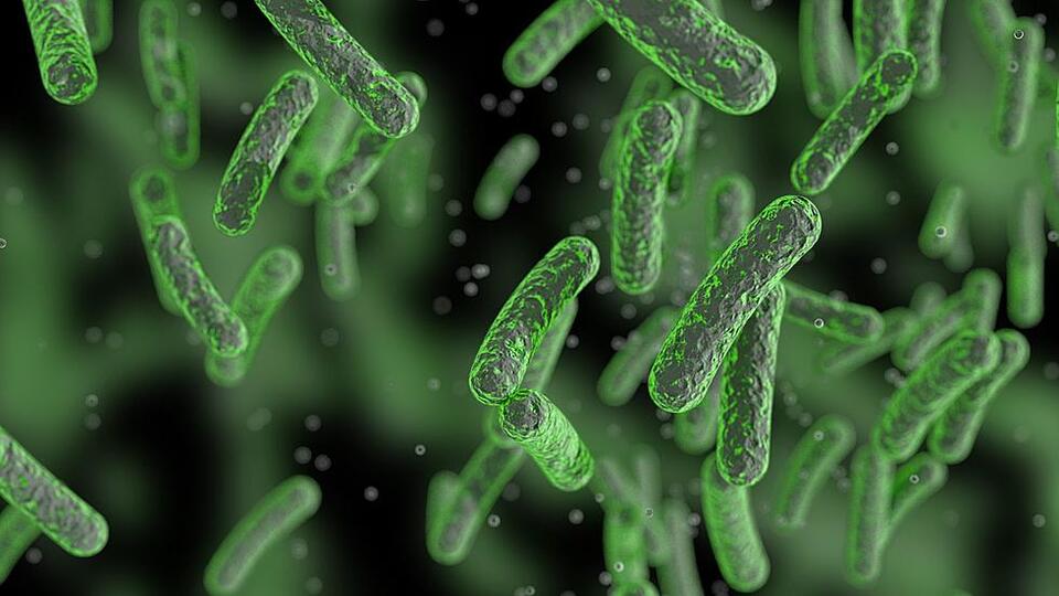 NJ and Flesh-Eating Bacteria…What You Need to Know - NewsBreak