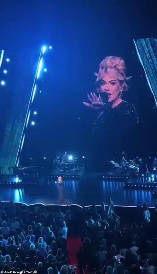 Adele fan who was defended by star mid-concert declares: 'I'm not ...