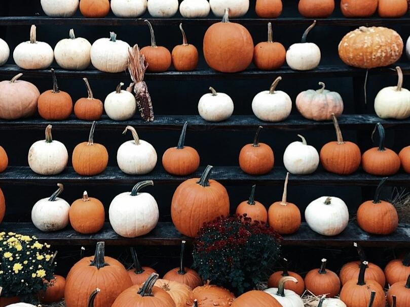 Google’s Frightgeist Reveals Top Halloween Costumes for 2024