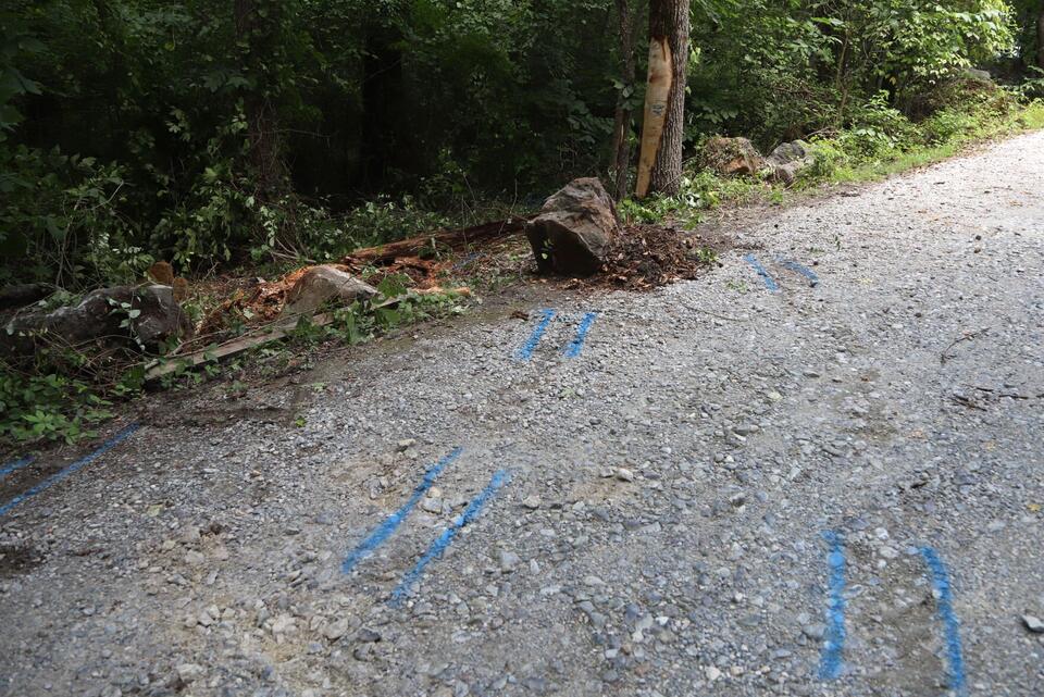 Police identify woman killed in crash at Rittenhouse Park - NewsBreak