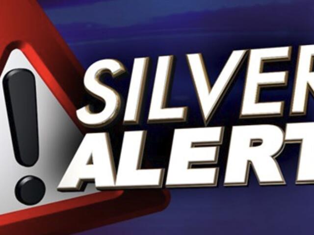 Update: Silver Alert canceled for missing 82-year-old Payson man