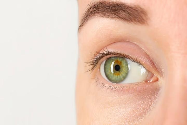 New FDA-Approved Eye Drop Sparks Fresh Competition For LENZ ...