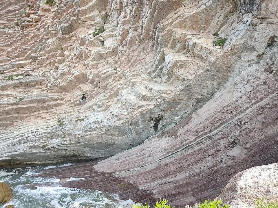 What Is the Cretaceous–Paleogene Extinction Event? - NewsBreak