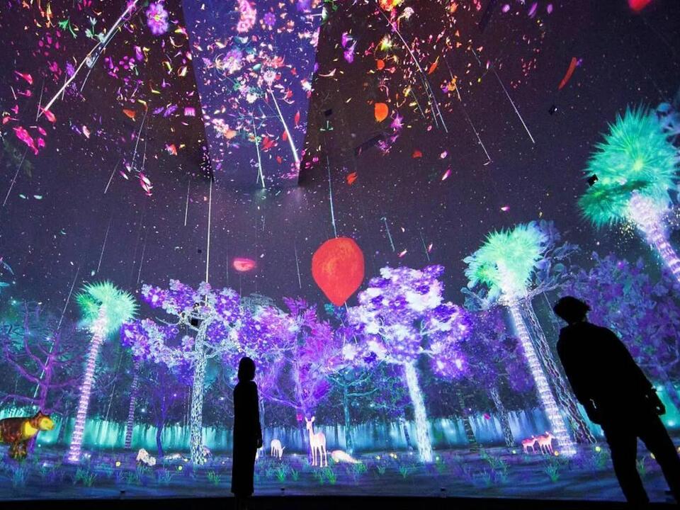 National Museum of Singapore’s Story of the Forest exhibition to close ...