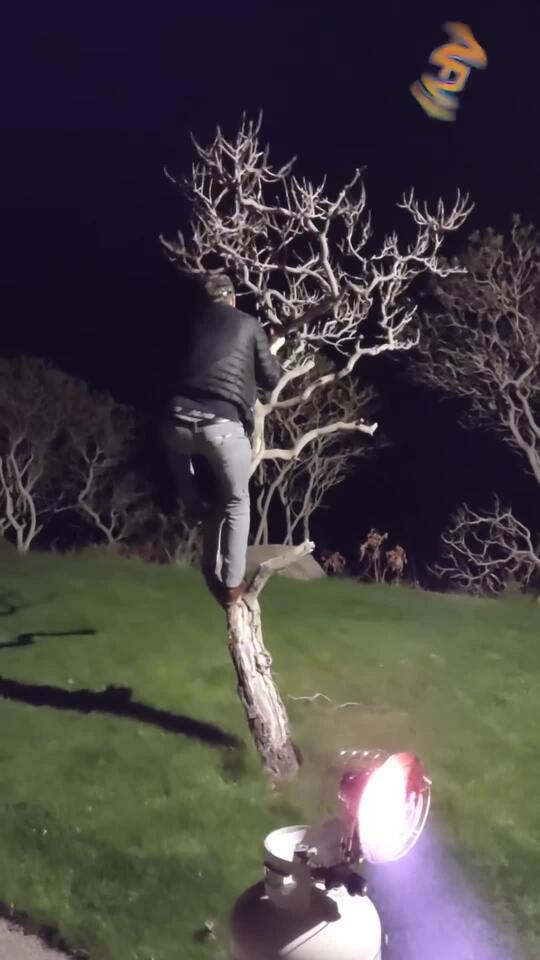 Was prepared for the tree breaking but NOT for the laugh afv fail ...