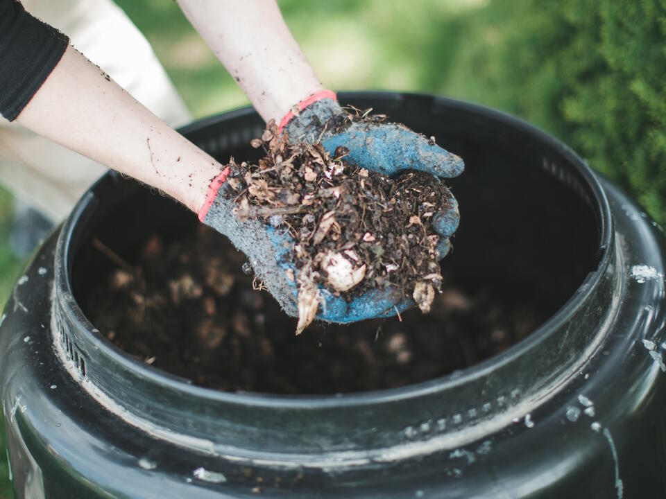 How to speed up composting – 7 expert methods to quickly break down ...