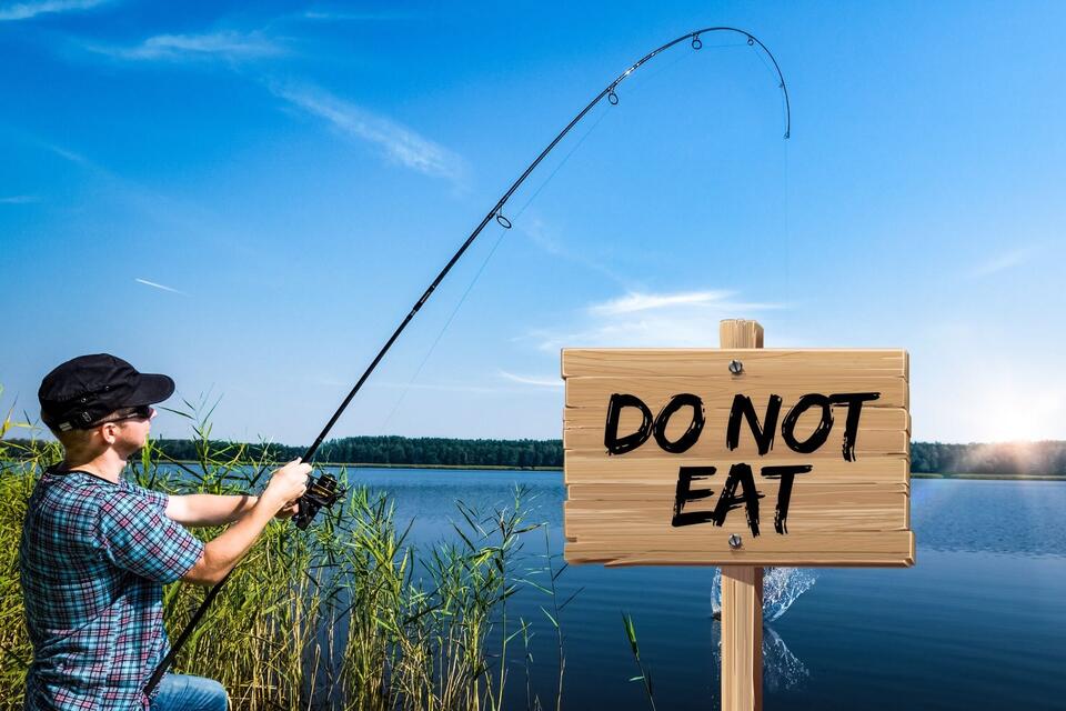 Four Kent County Lakes Added to Michigan’s “Do Not Eat” Fish Advisory ...