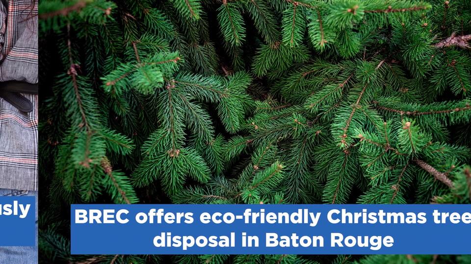 Marine traffic halted at Belle River Bridge due to low water levels ...