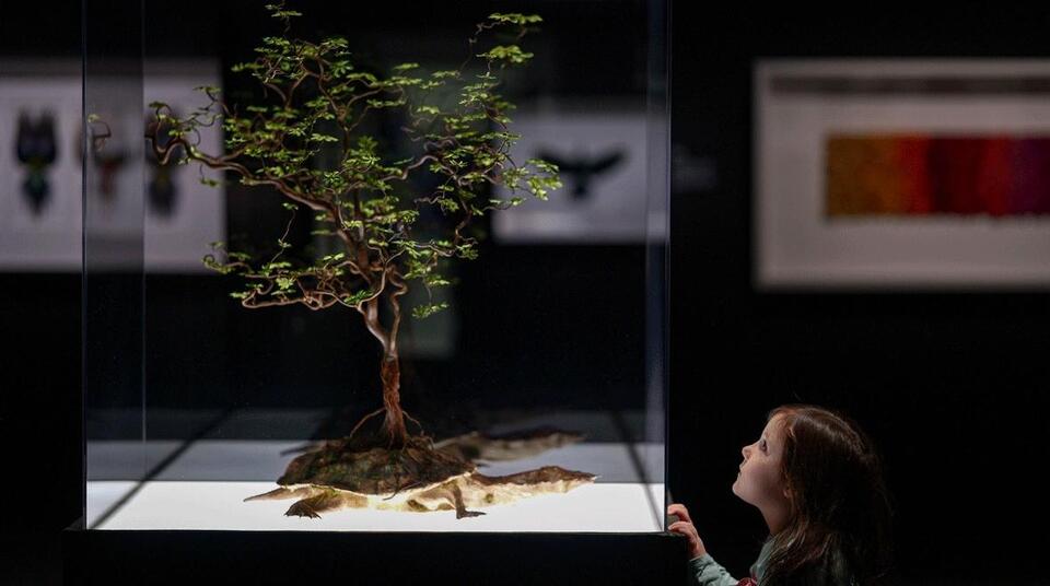 ‘Exquisite Creatures’ Exhibit in Seattle Inspires Budding Artists and ...