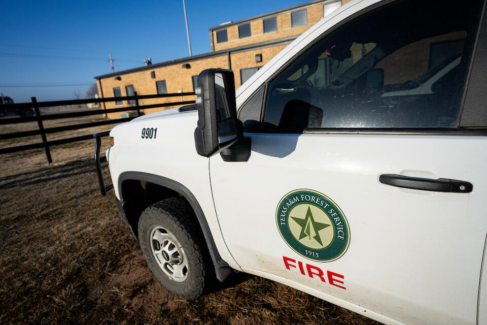 Dry conditions and Increased Vegetation Set Stage for Higher Wildfire ...