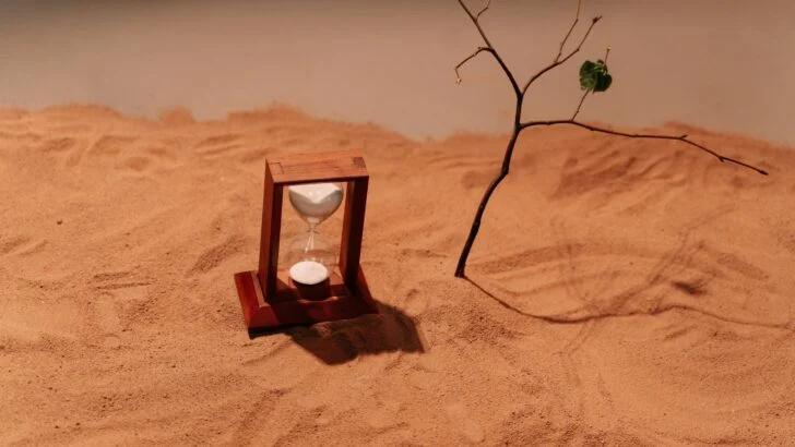 Circadian Rhythms: The Biological Clocks of Animals - NewsBreak