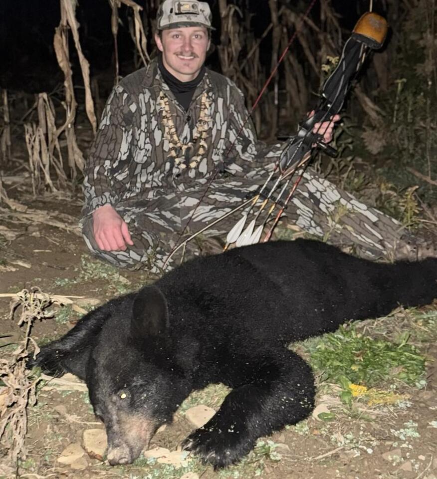 Pennsylvania hunters get more than 1,100 black bears, one hunter gets fourth with recurve ...