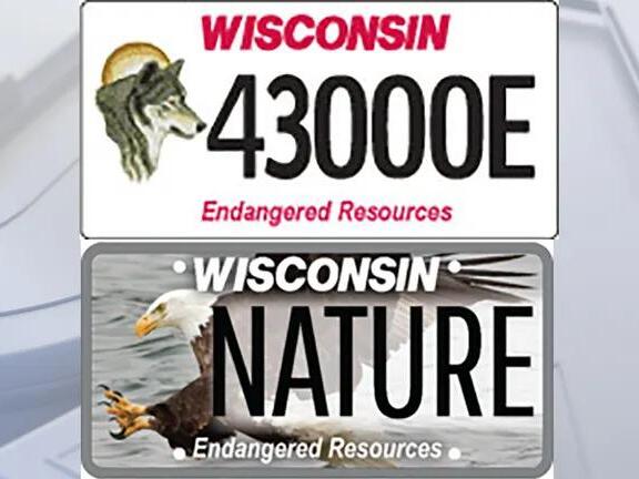 DNR: $25 rebate on Wisconsin endangered resources license plates