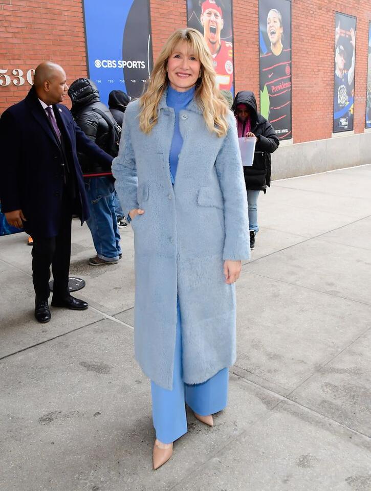 Laura Dern, 58, Wore the Timeless Shoe Style That Makes Legs Look Miles ...
