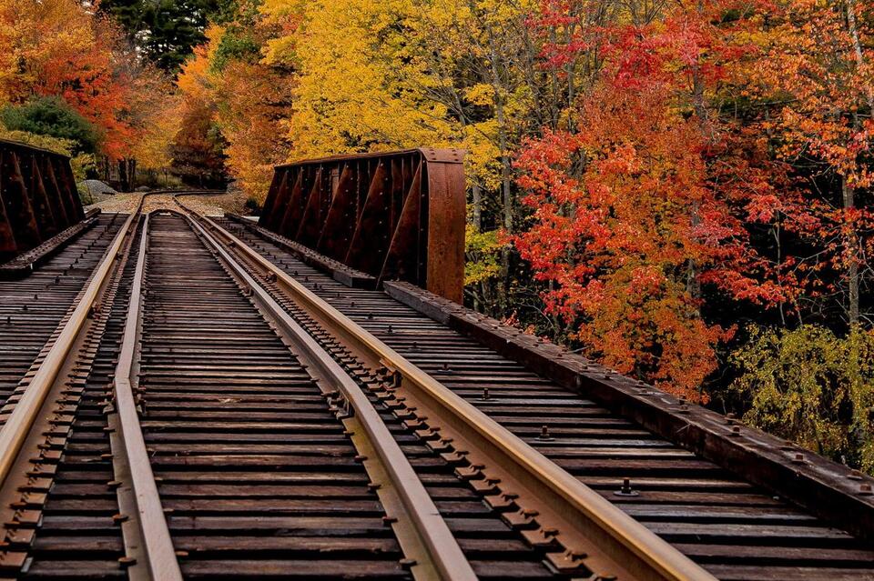 Latest Maine Fall Foliage Report: Where to See Peak Colors Now - NewsBreak