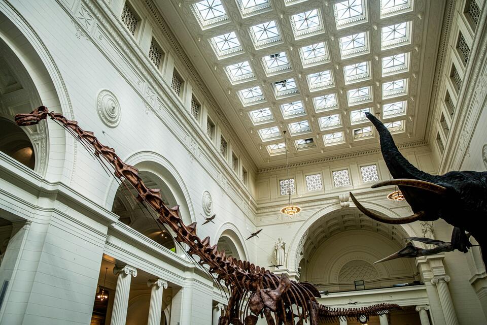 How the Smithsonian Tells the Story of Dinosaurs and Deep Time - NewsBreak