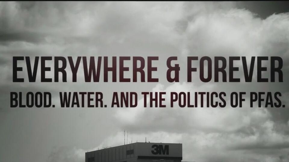 Everywhere & Forever: Breaking down FOX 9's 3M documentary - NewsBreak