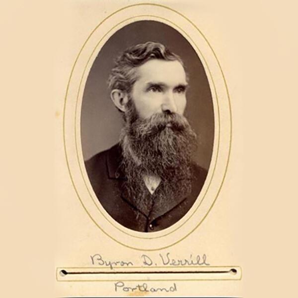 Verrill adds 7 attorneys from Whitman Breed Abbott & Morgan - NewsBreak