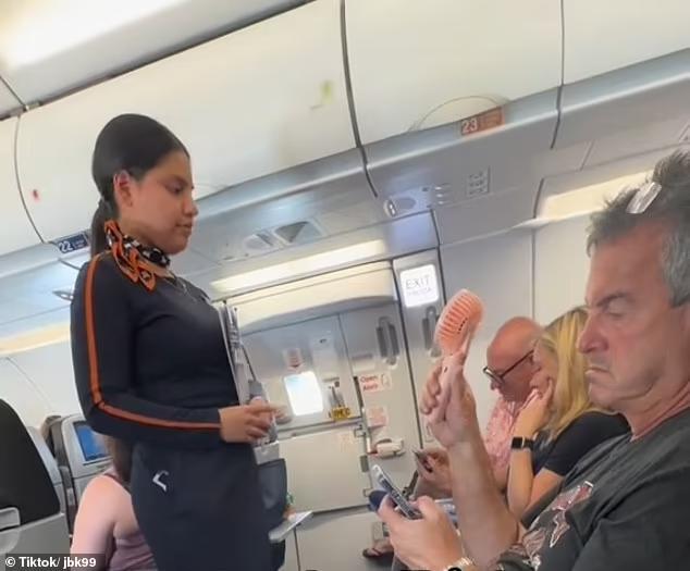 'Diva' JetBlue flight attendant forces passenger to hold fan in front ...
