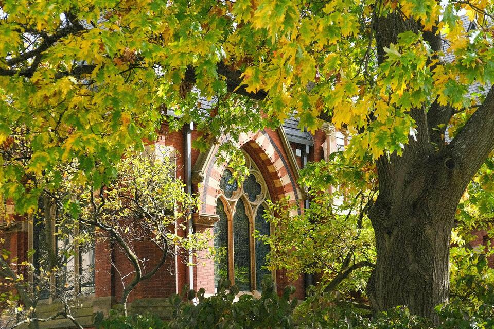 Cornell Bowers Graduate Student Dies on Sunday - NewsBreak
