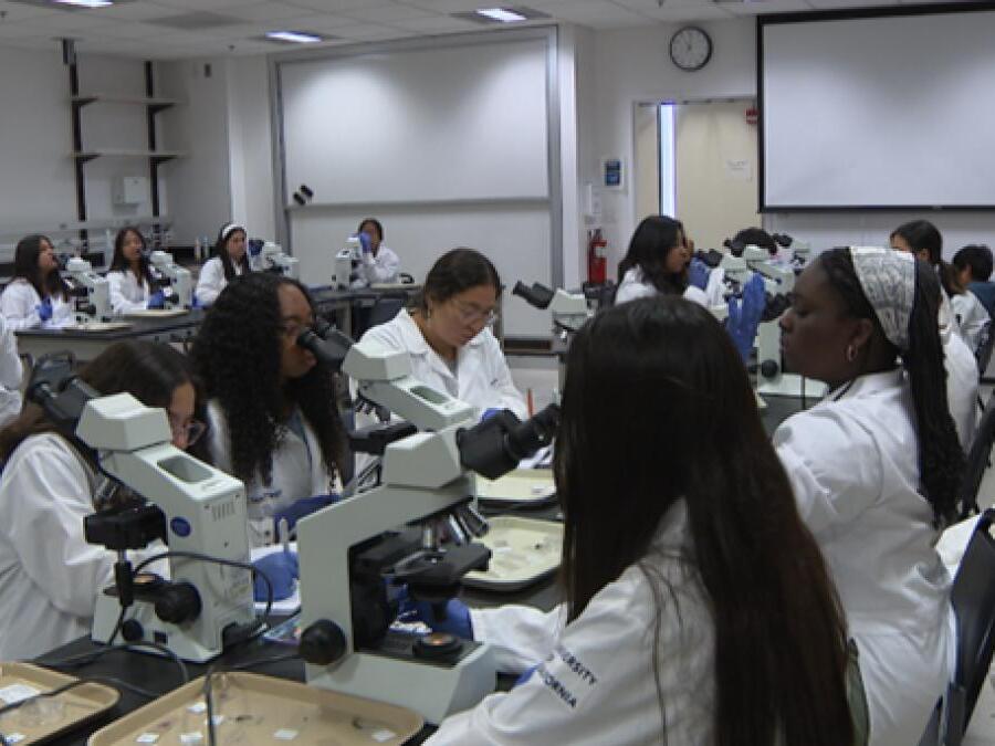 UC San Diego summer program seeks to diversify the next generation of ...