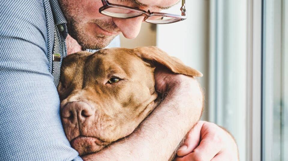 Trainer Explains Why Dogs Following You Everywhere Isn't Always Cute ...