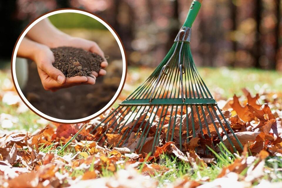 Let Seton Harvest Turn Your Leaves Into Useful Compost - NewsBreak
