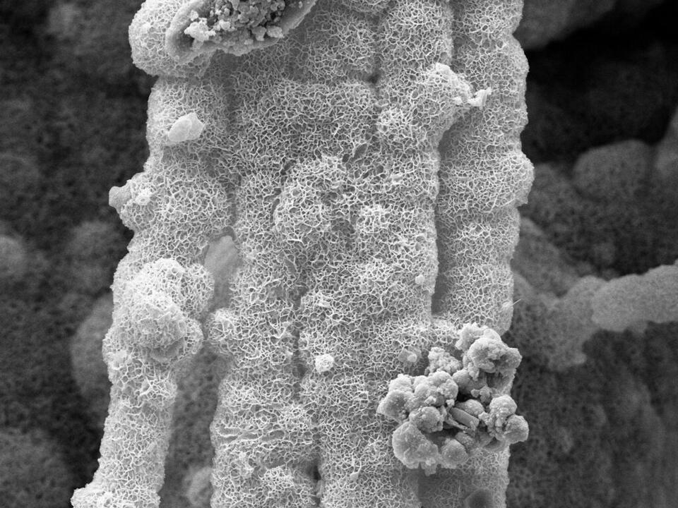 Self-Healing Materials: How Scientists Are Creating Objects That Repair ...
