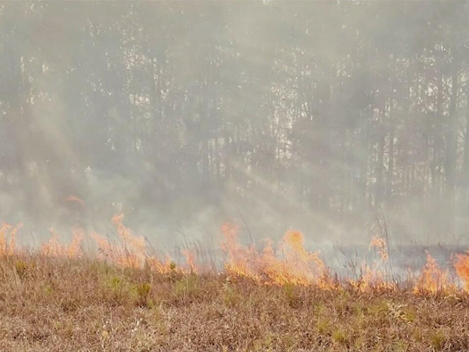 Annual burn ban now in effect for 12 Alabama counties