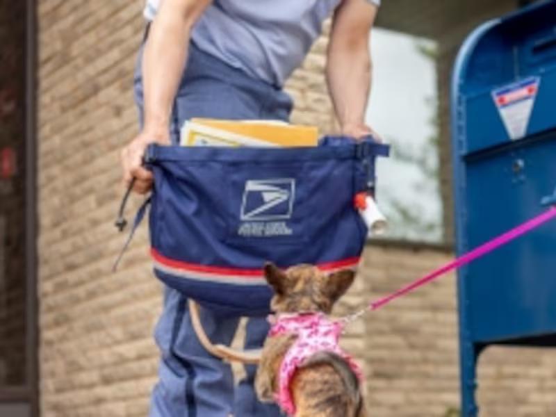 USPS says more than 5,800 letter carriers were bit by dogs in 2023