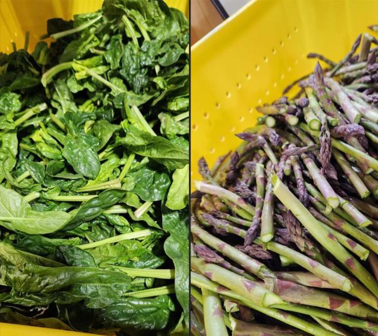 Witte’s Vegetable Market now open for the season | By Gus Witte - NewsBreak