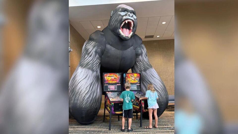 Annual Comic Con returns in the Midlands with exciting schedule for ...