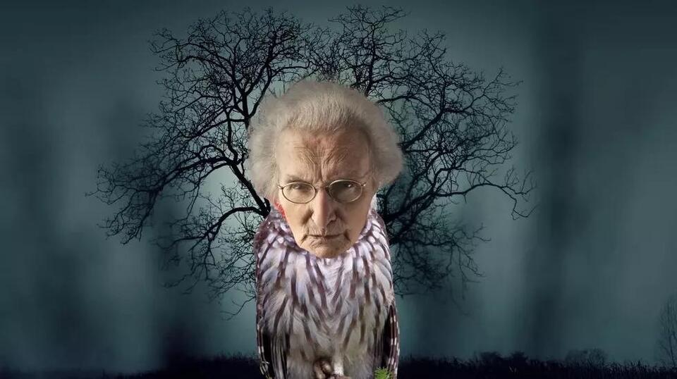 Meet La Lechuza, The Urban Legend Of Texas Folklore - NewsBreak