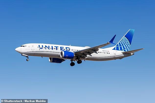 United Airlines accused of serving '3D-printed mystery meat' in 'bowl ...