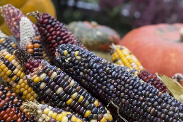 US Farmers Markets Selling Rare Local Food - NewsBreak