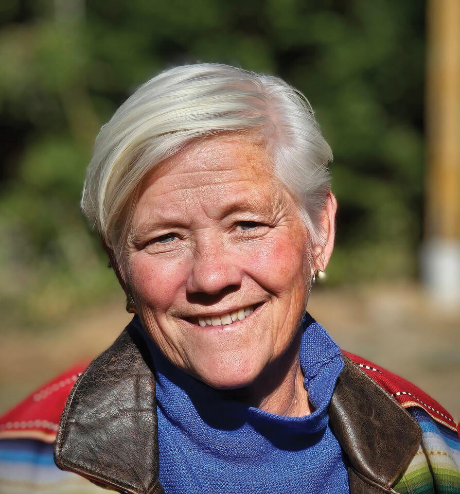 The ‘carrot-and-stick’ method of legislating in Boise and how to change ...