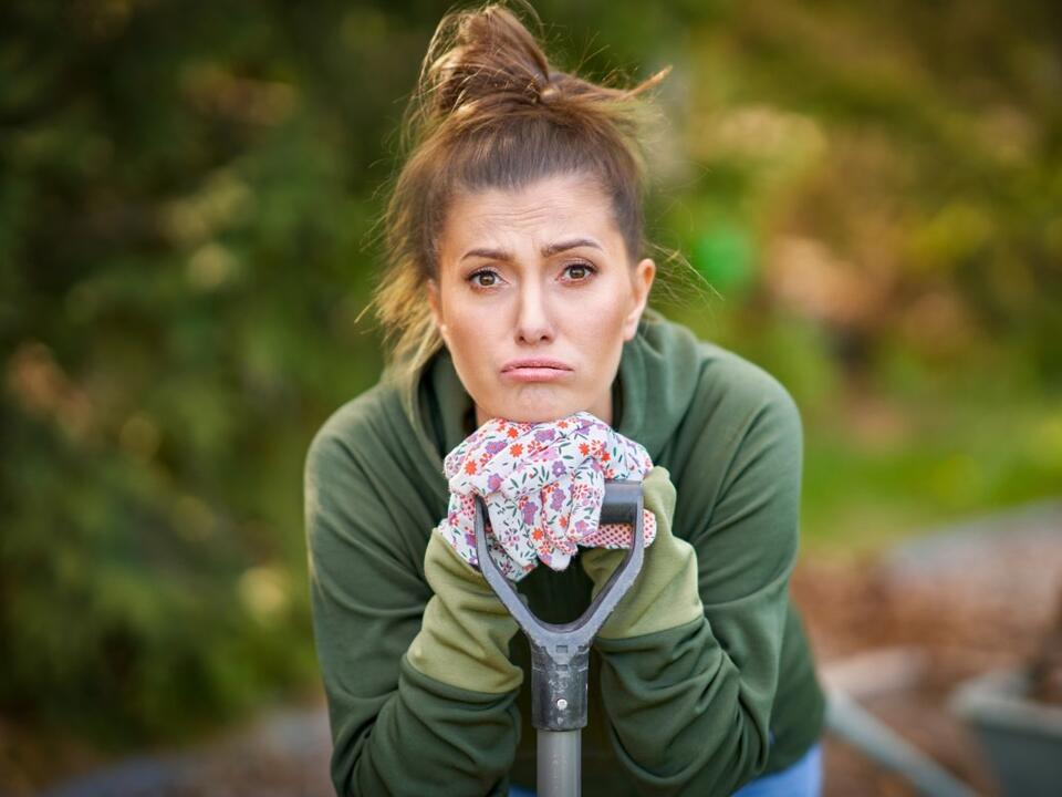 10 Invasive Plants People Regret Putting In Their Gardens