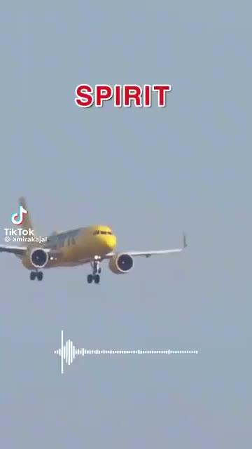 Spirit pilot go back-and-forth with air traffic control over landing ...