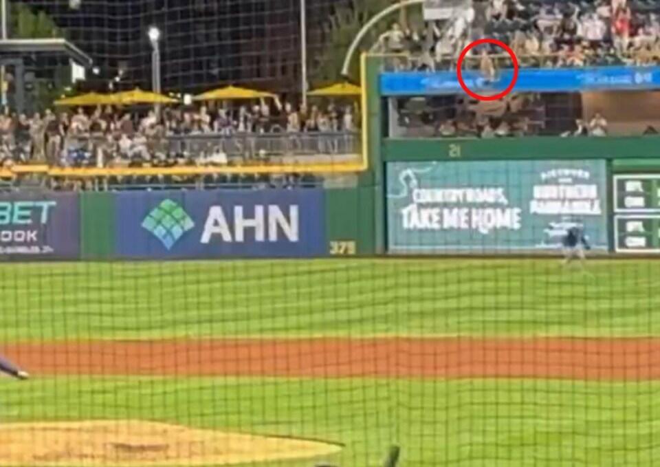 Man charged after baseball fan Kavan Markwood, 20, was left fighting ...
